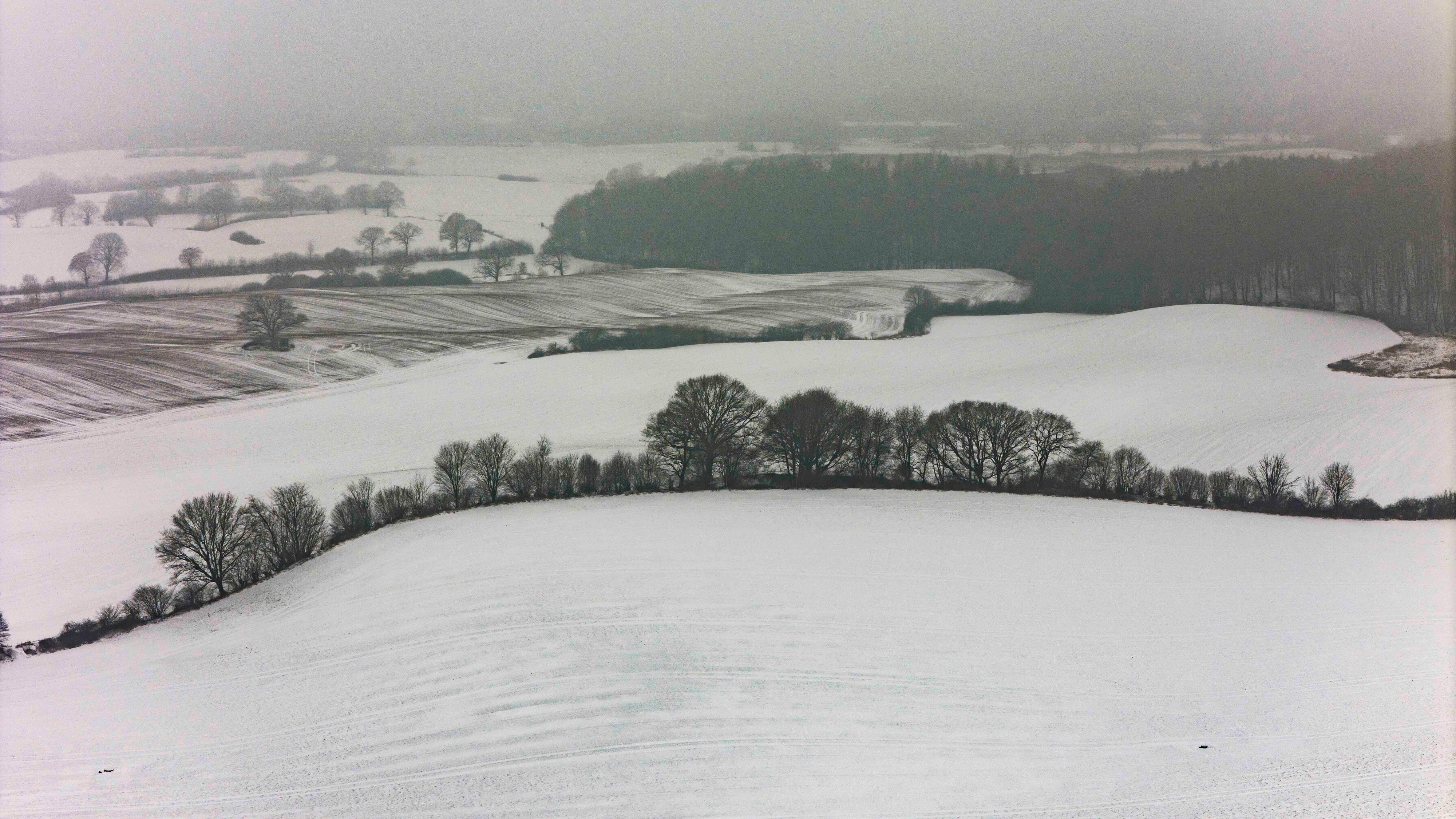 Germany Renewable Energy 2026 & Günter Grass Exhibition in Lübeck ...